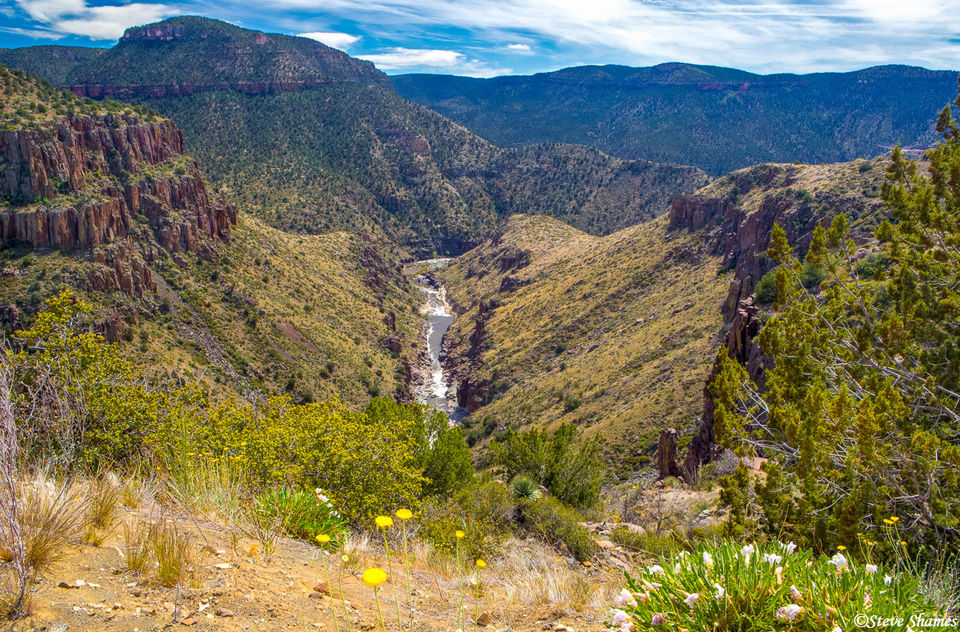 Salt River, Arizona | Salt River Canyon, arizona | Steve Shames Photo ...