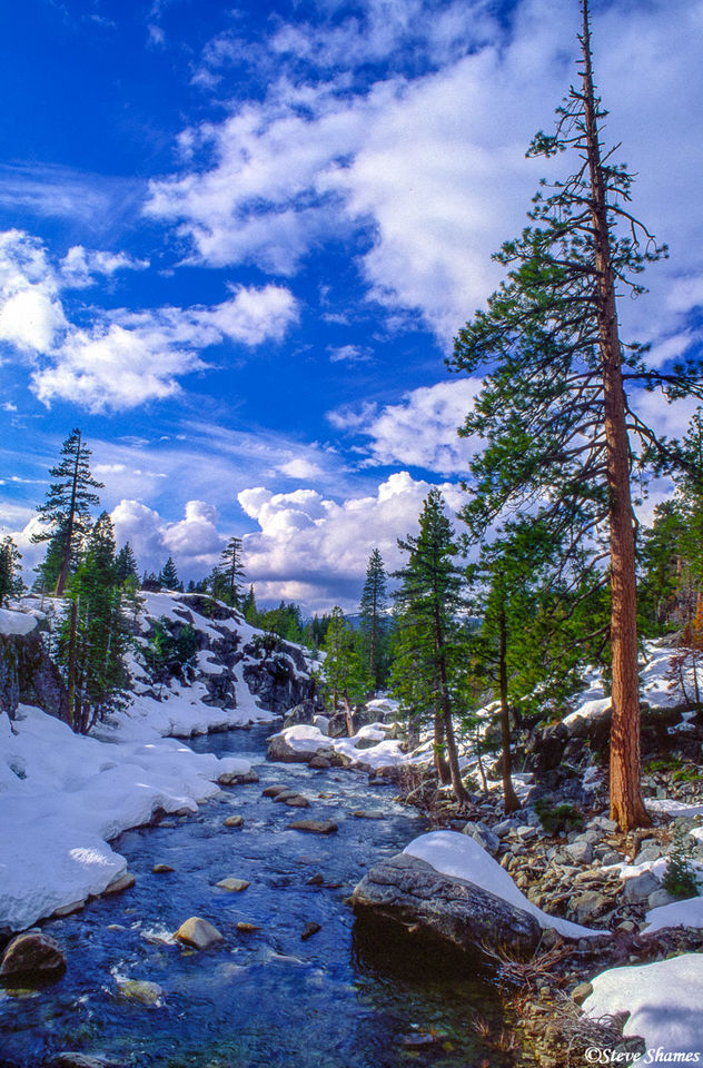 Sierra Nevada Snow | Sierra Nevada Mountains, California | Steve Shames ...