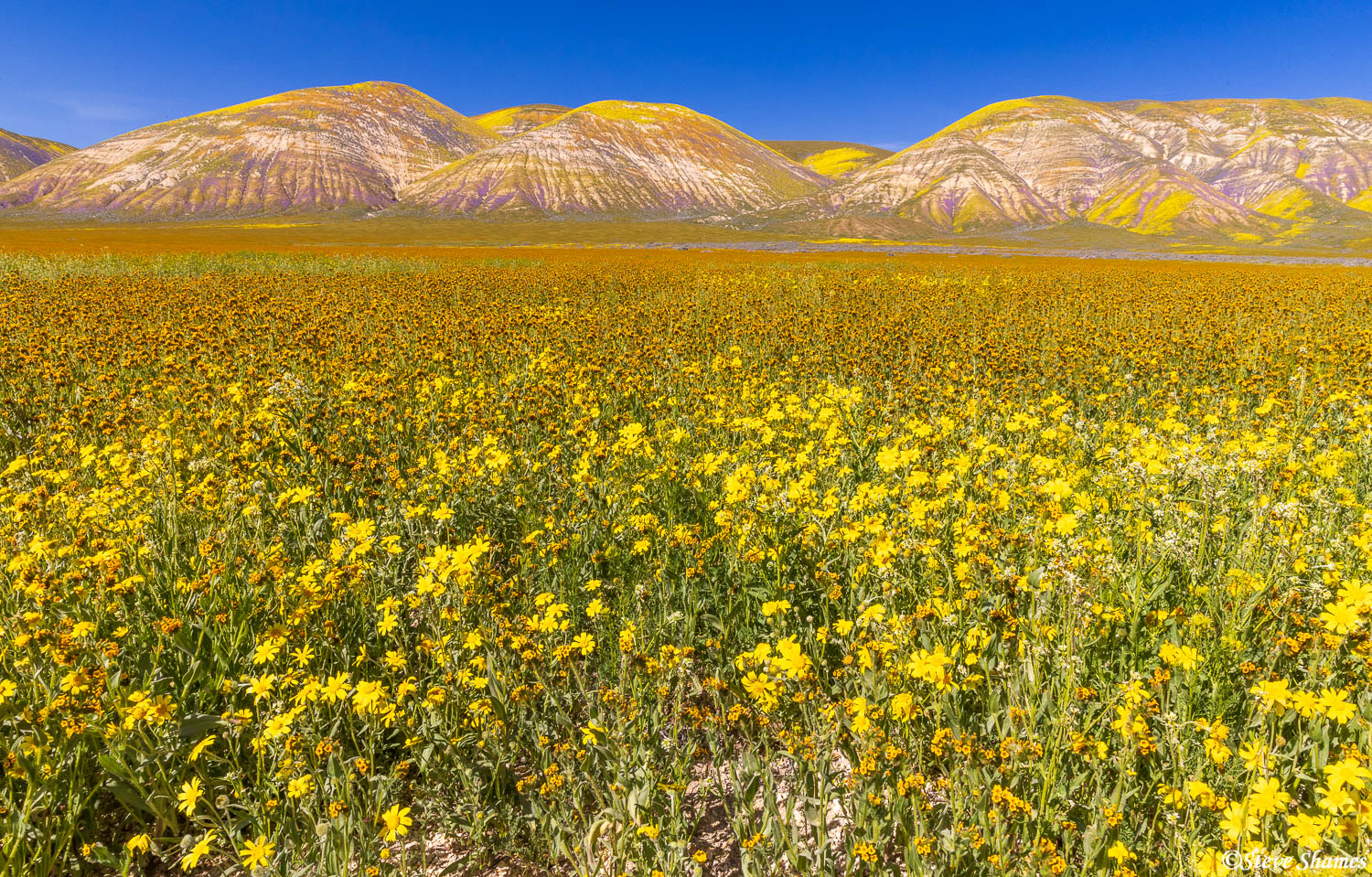 Carrizo Colors | Carrizo Plain National Monument, Central California ...