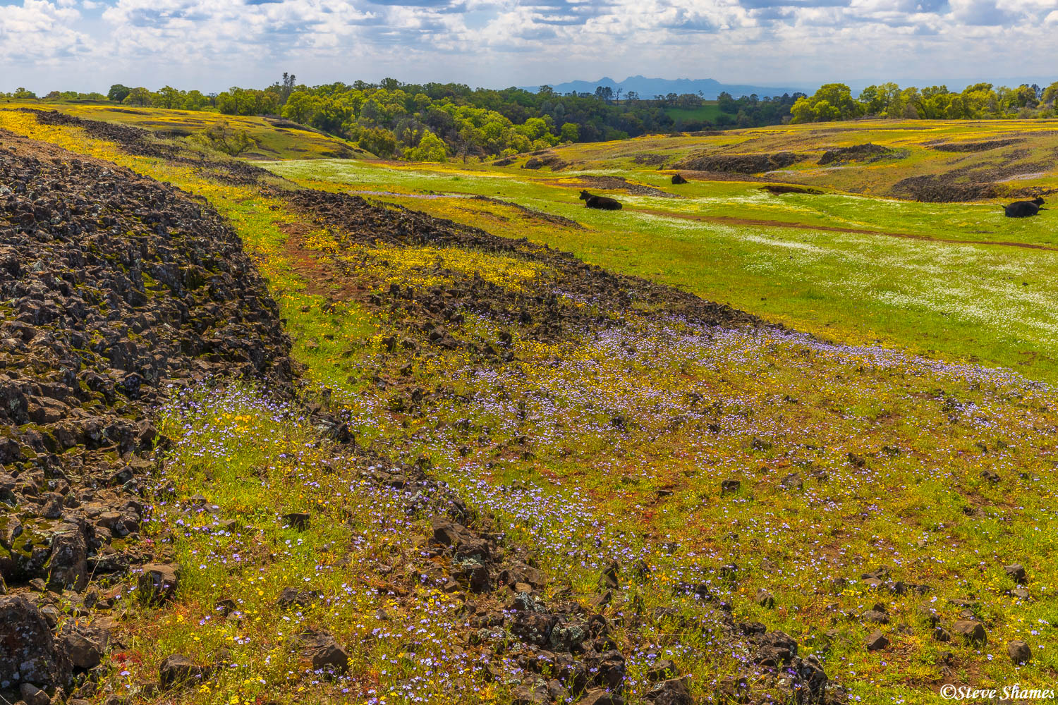 Multi Colored Hills | North Table Mountain Reserve, Butte County ...