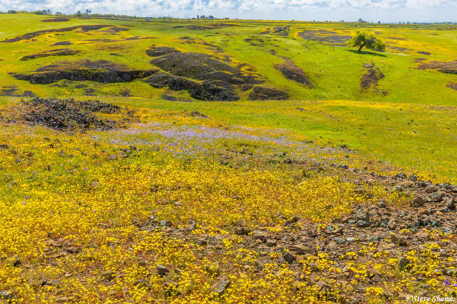 North Table Mountain Ecological Reserve | North Table Mountain Reserve ...