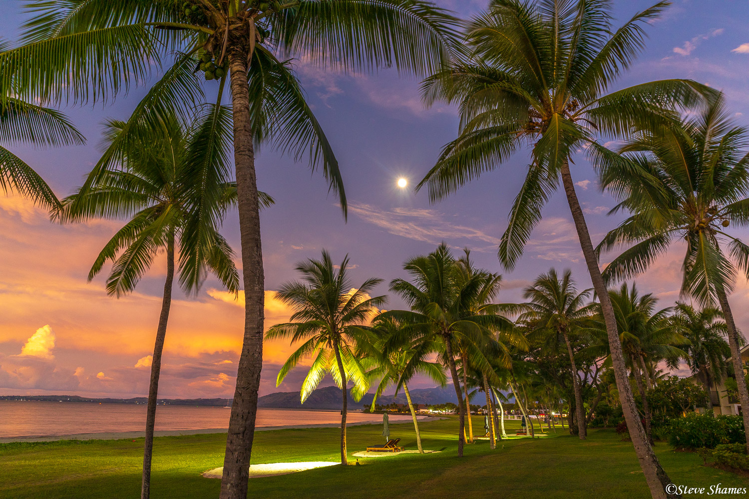 Palm Tree Sunset | Fiji Islands | Steve Shames Photo Gallery
