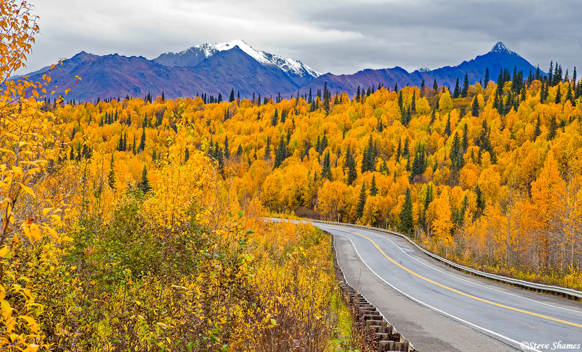 Parks Highway Alaska | along the George Parks Highway, Alaska | Steve ...