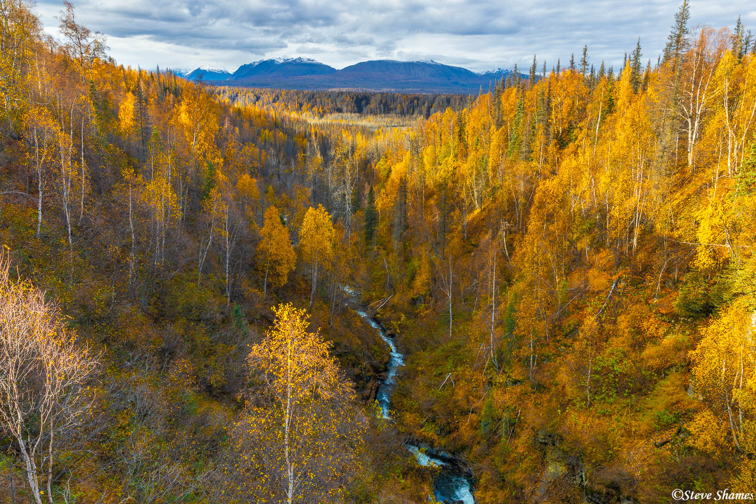 Parks Highway Bridge Scene | Parks Highway, Alaska | Steve Shames Photo ...