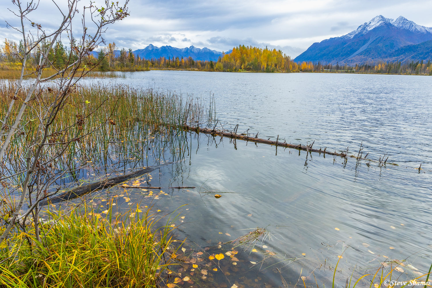 Reflections Lake | Reflections Lake, Alaska | Steve Shames Photo Gallery