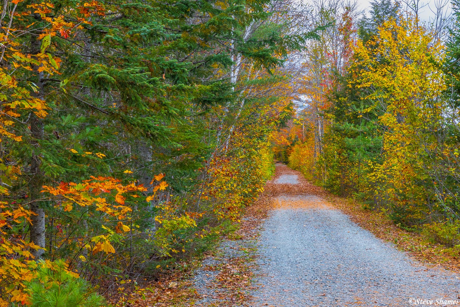 Ricker Pond Trail Vermont | Vermont, New England | Steve Shames Photo ...